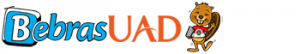 Apa itu Bebras?